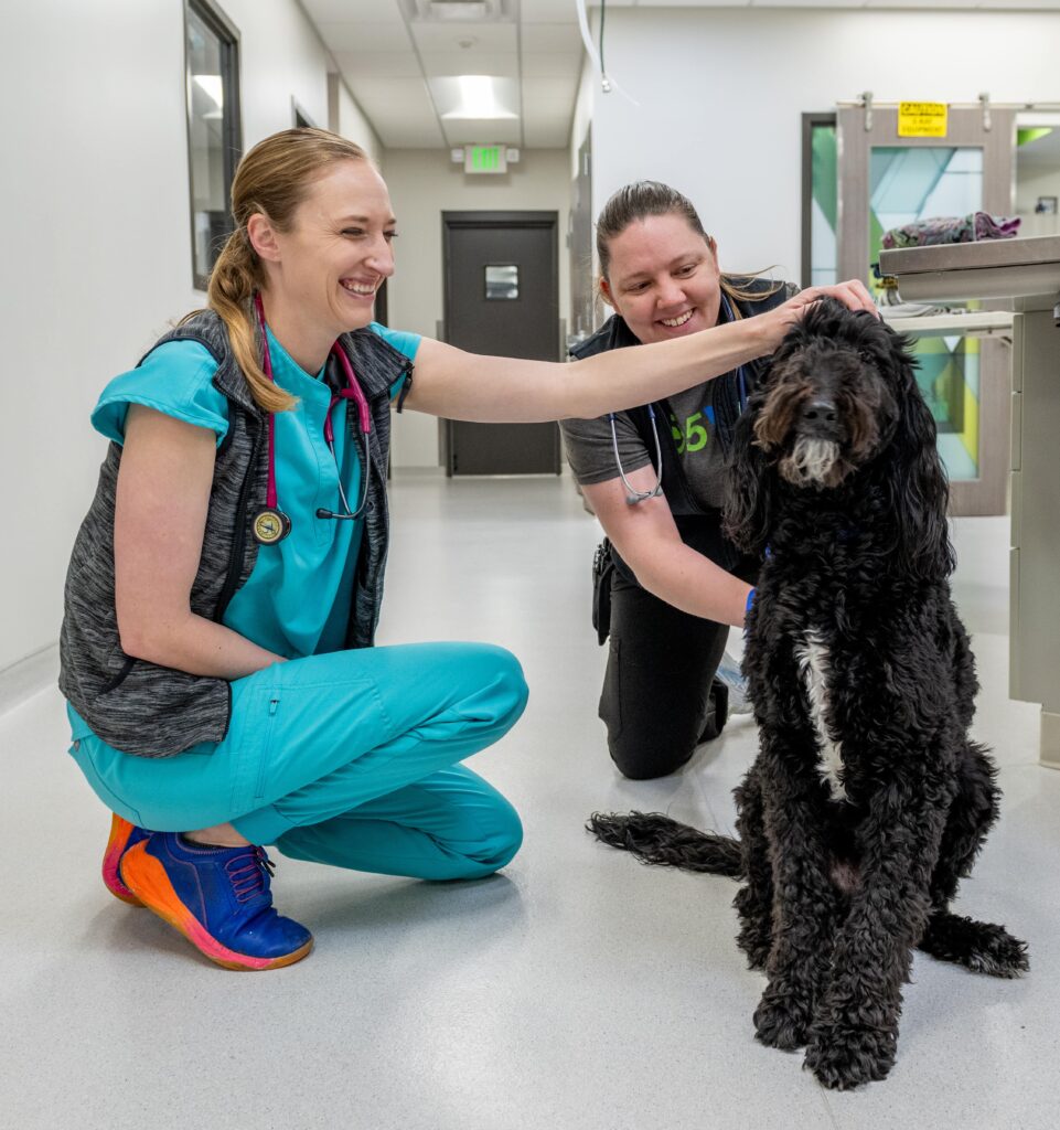 Mission Pet Health - Most Loved Workplace®